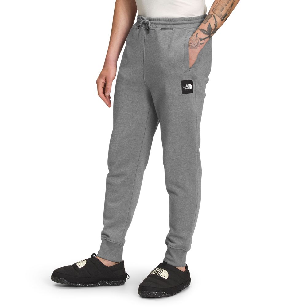 Compra Pantalones Box Nse Jogger Gris Hombre The North Face en Tienda Oficial - thenorthfaceco